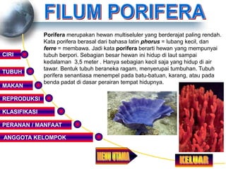 coelenterata dan filum porifera | PPSX