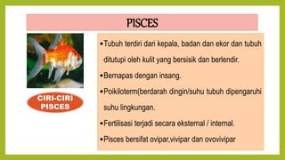 Animalia(vertebrata )kelas x | PPTX