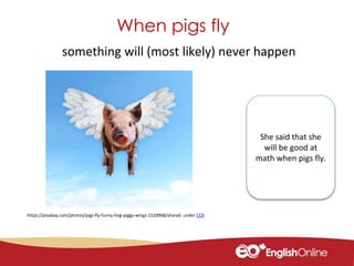 Animal Idioms - A Canadian Idioms Lesson | PPTX