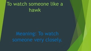 Animal idioms 2 | PPT