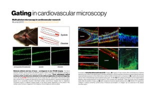 Instrumentation for in vivo intravital microscopy | PDF
