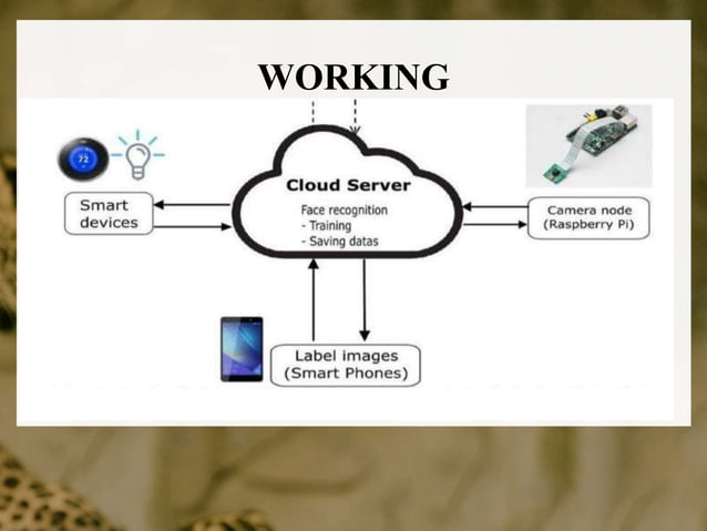 Animal intrusion detection system | PPTX