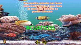 CLASIFICACION DE LOS ANIMALES | PPTX