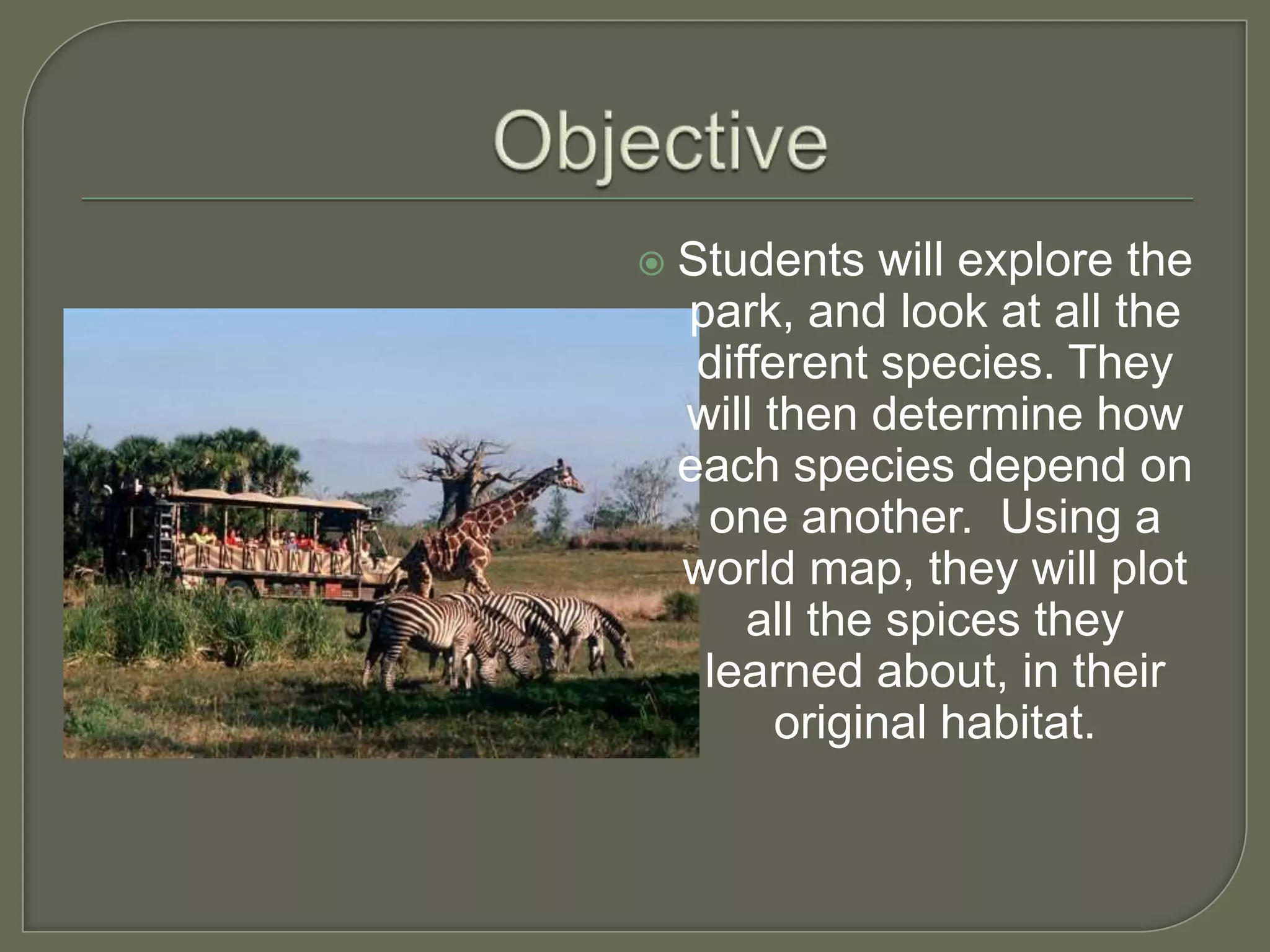 Animal kingdom | PPT