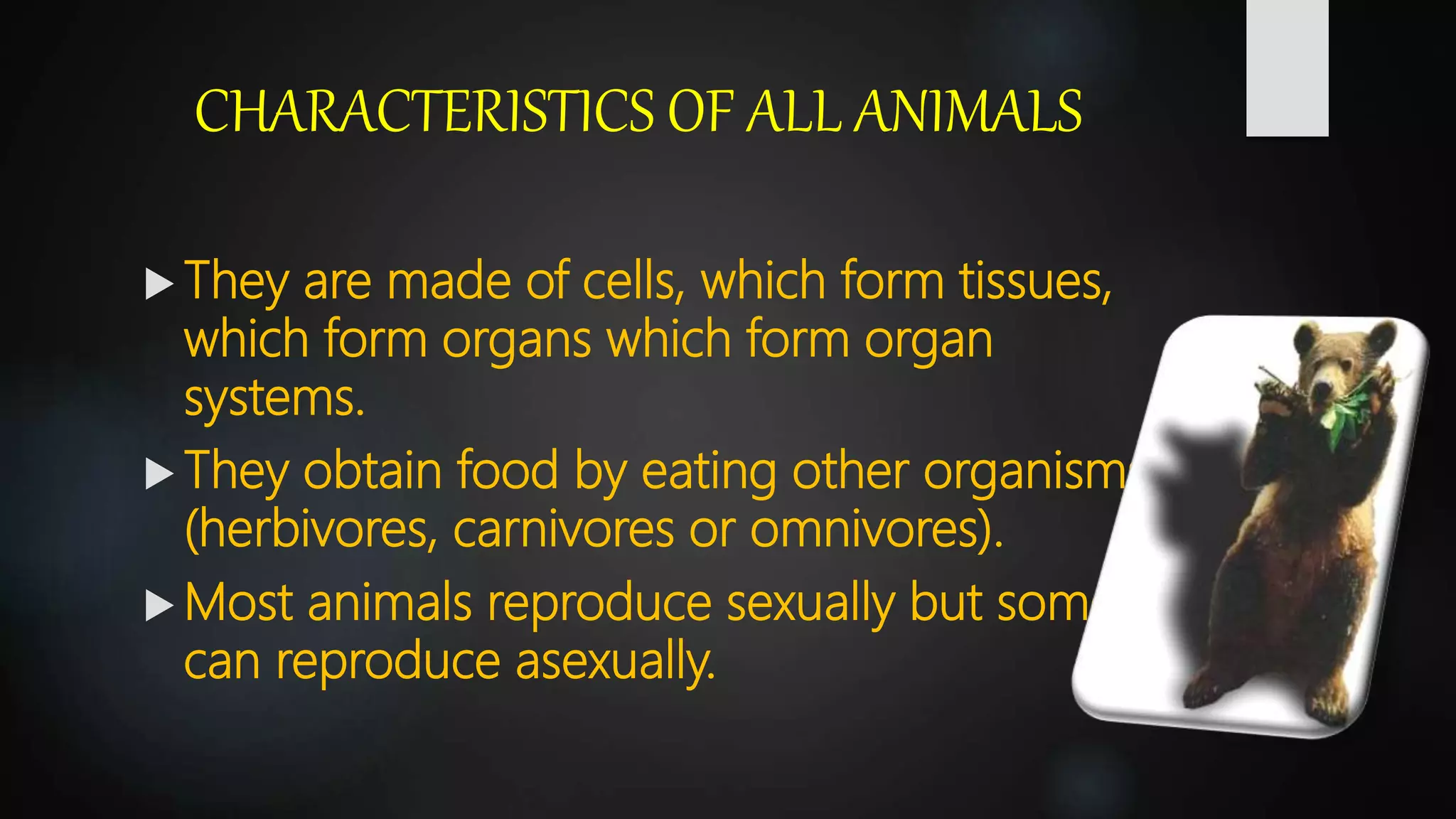 Animal kingdom | PPTX