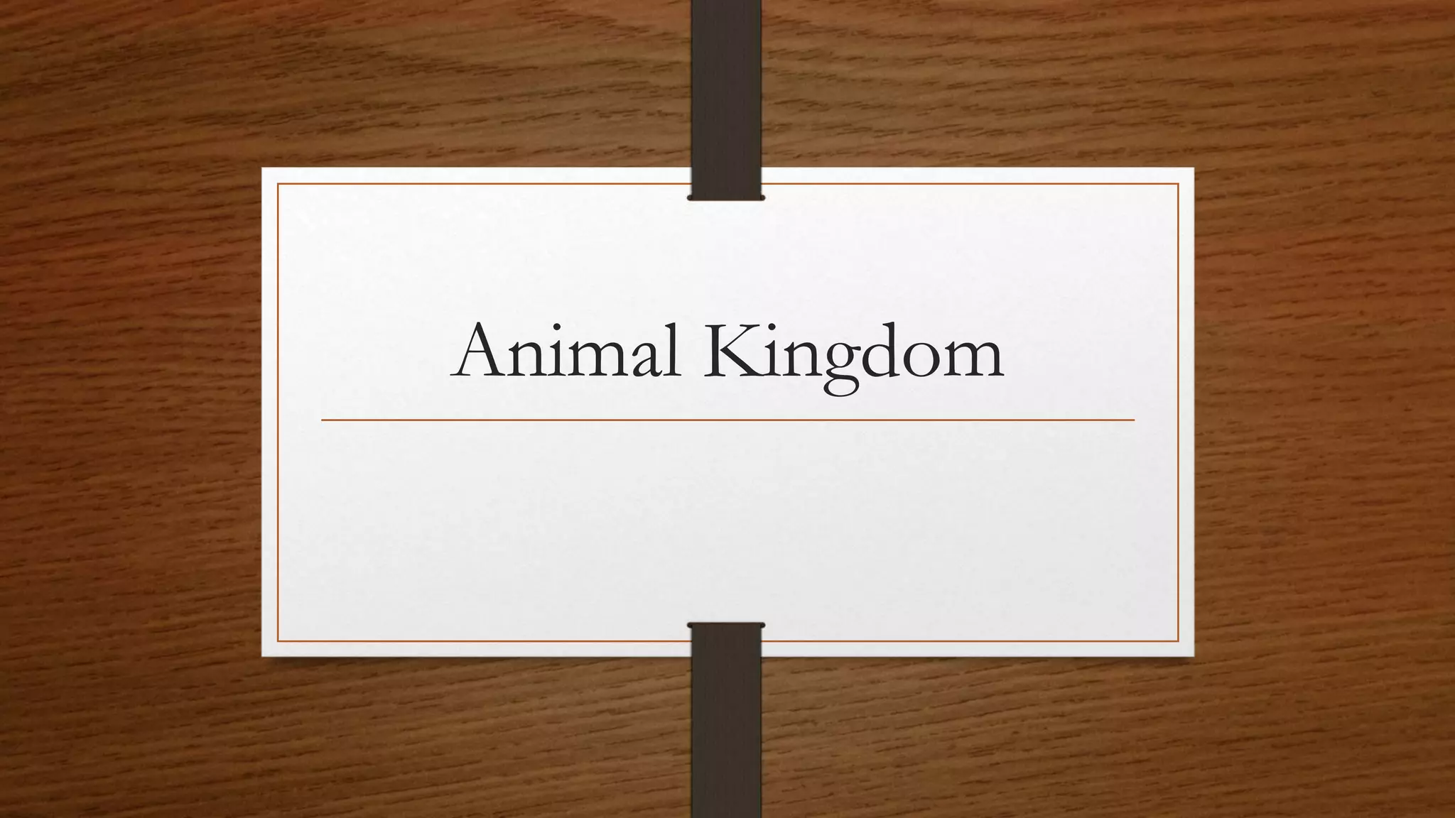 Animal kingdom | PPT