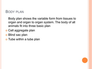 Animal kingdom | PPTX