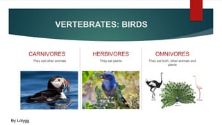 Animal kingdom | PPSX