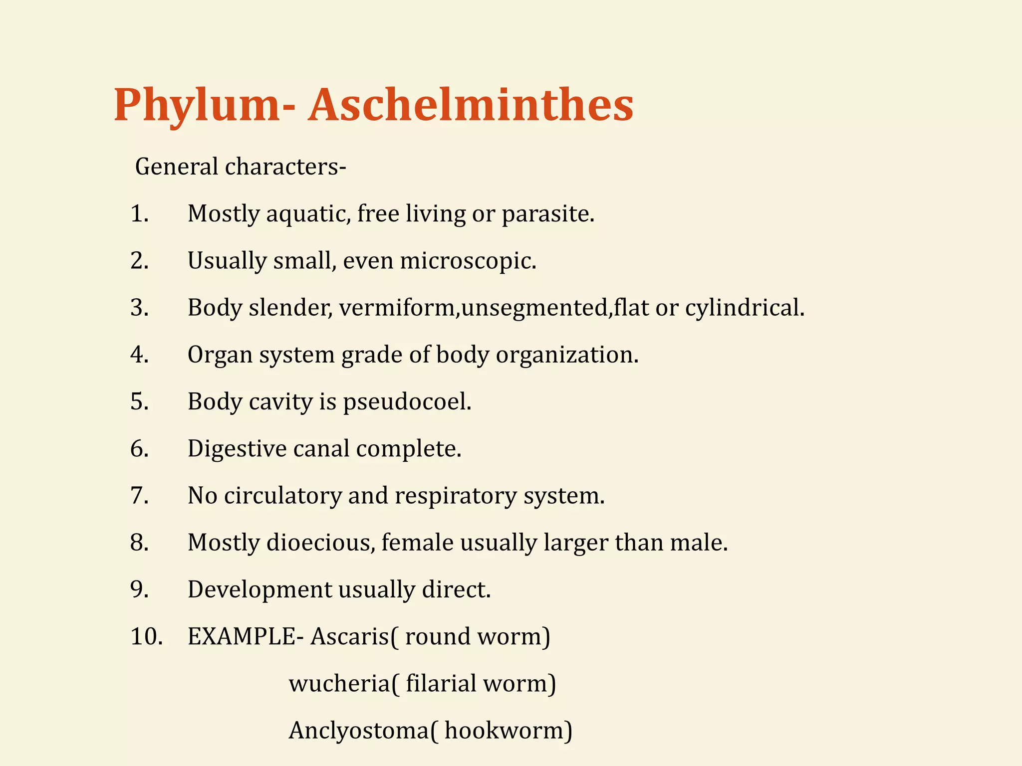 General characteristics of invertebrate phyla | PPTX