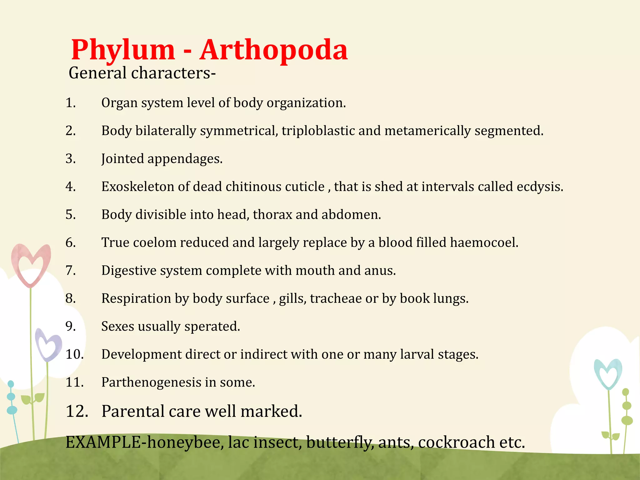 General characteristics of invertebrate phyla | PPTX