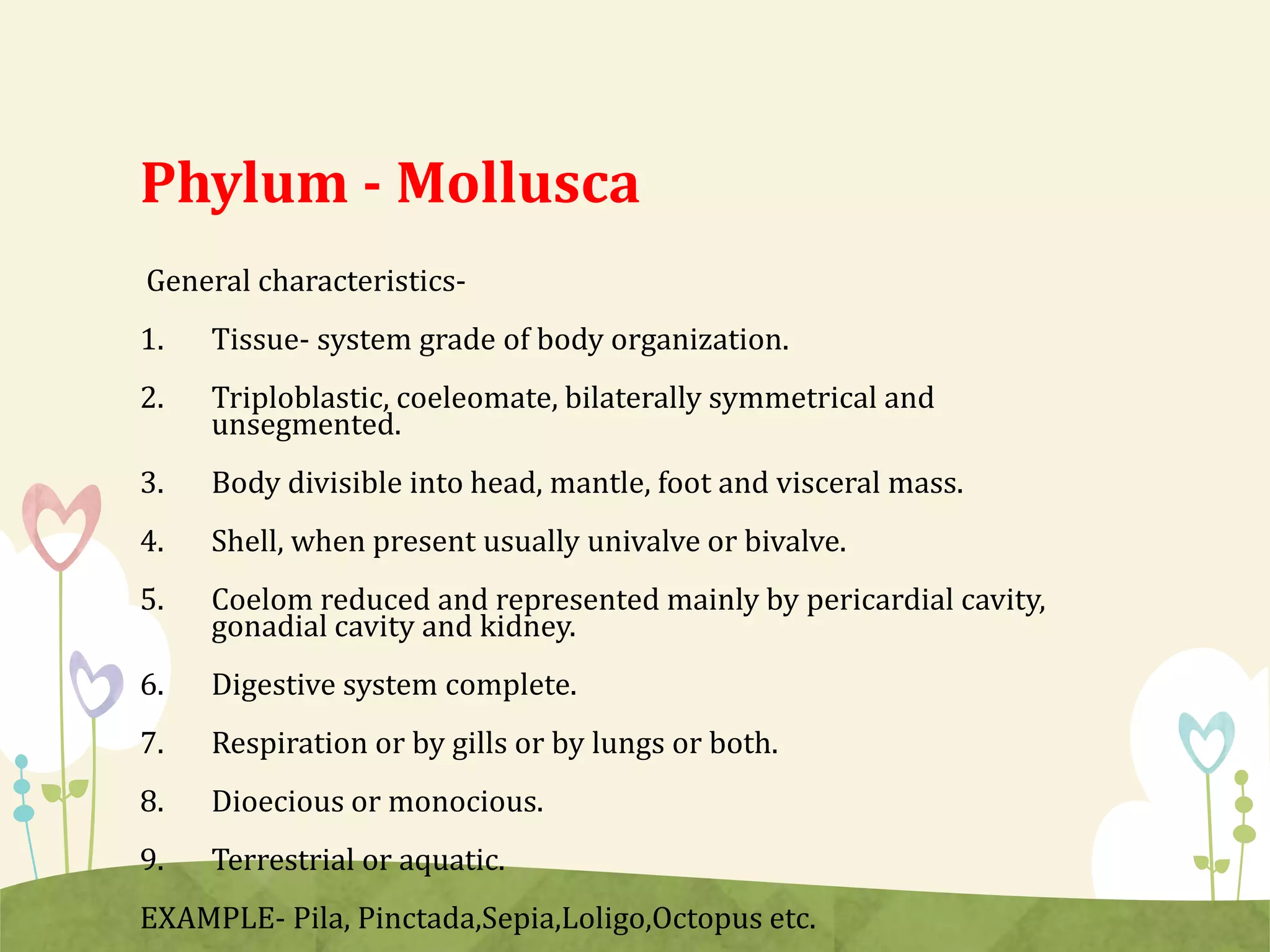 General characteristics of invertebrate phyla | PPTX