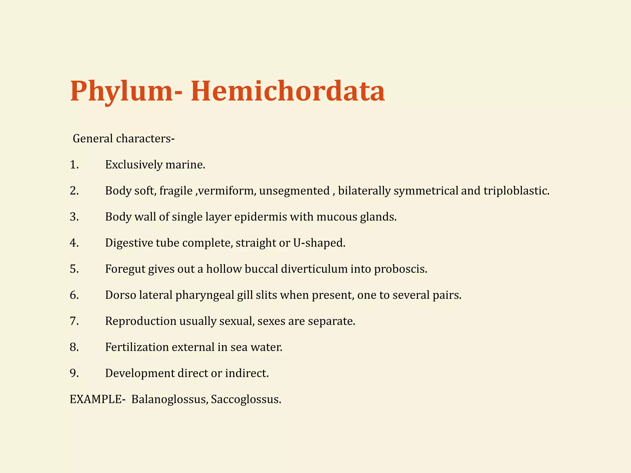 General characteristics of invertebrate phyla | PPTX