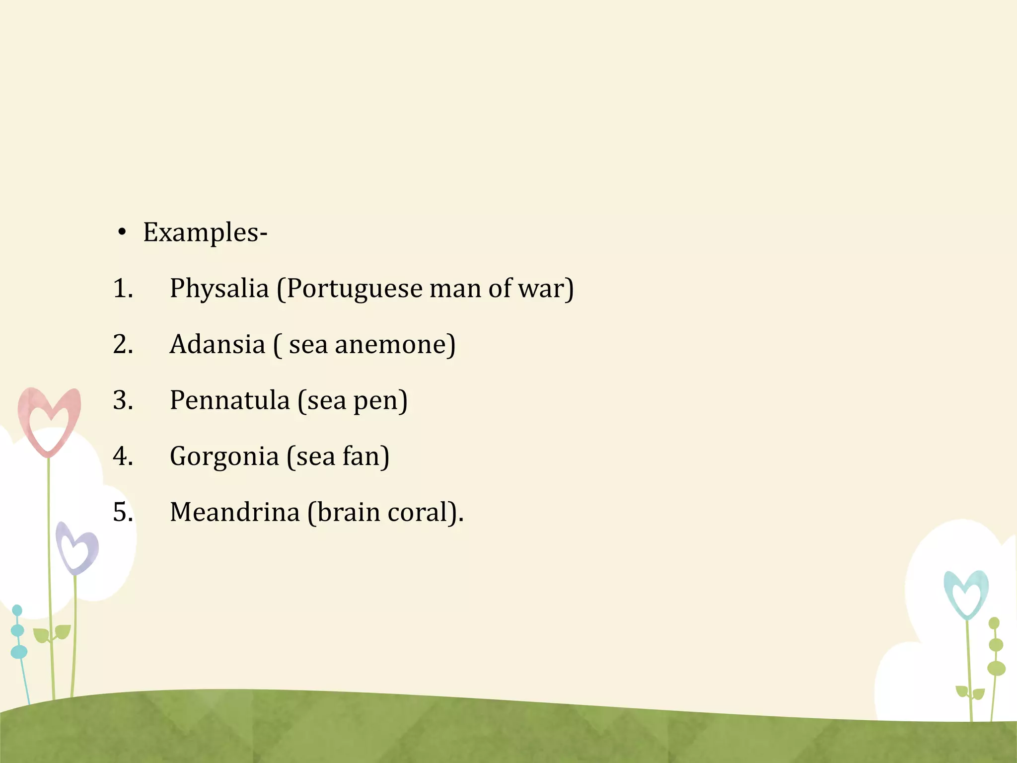 General characteristics of invertebrate phyla | PPTX