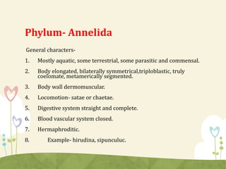 General characteristics of invertebrate phyla | PPTX