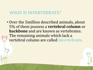 General characteristics of invertebrate phyla | PPTX