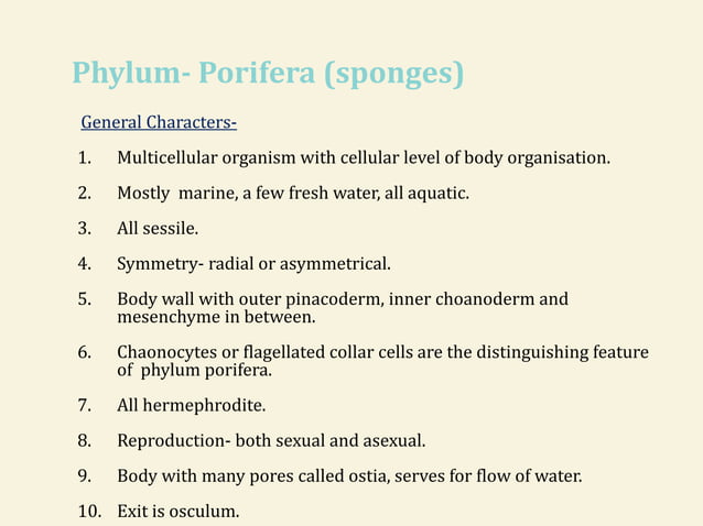General characteristics of invertebrate phyla | PPTX