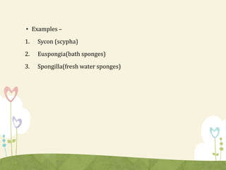 General characteristics of invertebrate phyla | PPTX