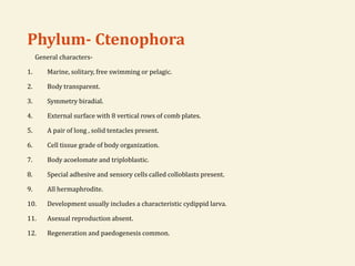 General characteristics of invertebrate phyla | PPTX