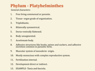 Examples Of Phylum Aschelminthes