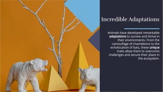 animal kingdom enviromental study presentation.pdf