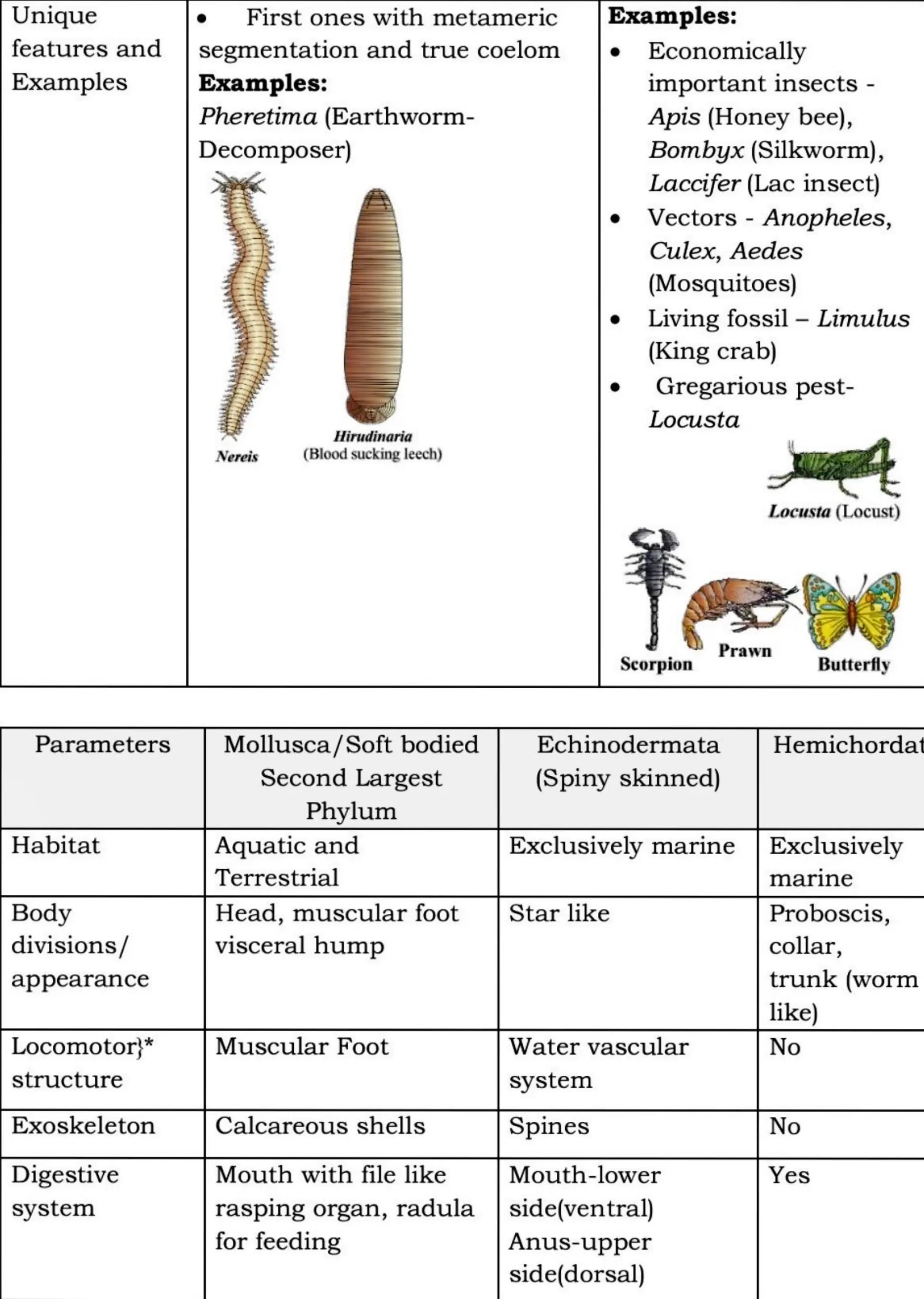animal kingdom class 11 zoology cbse. pdf | PDF