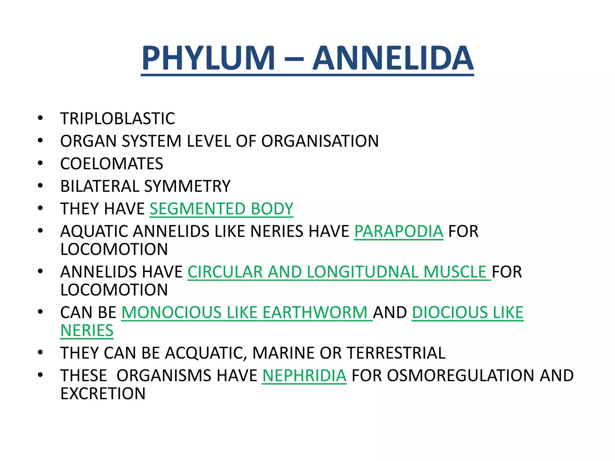 Animal kingdom class 11 | PPTX