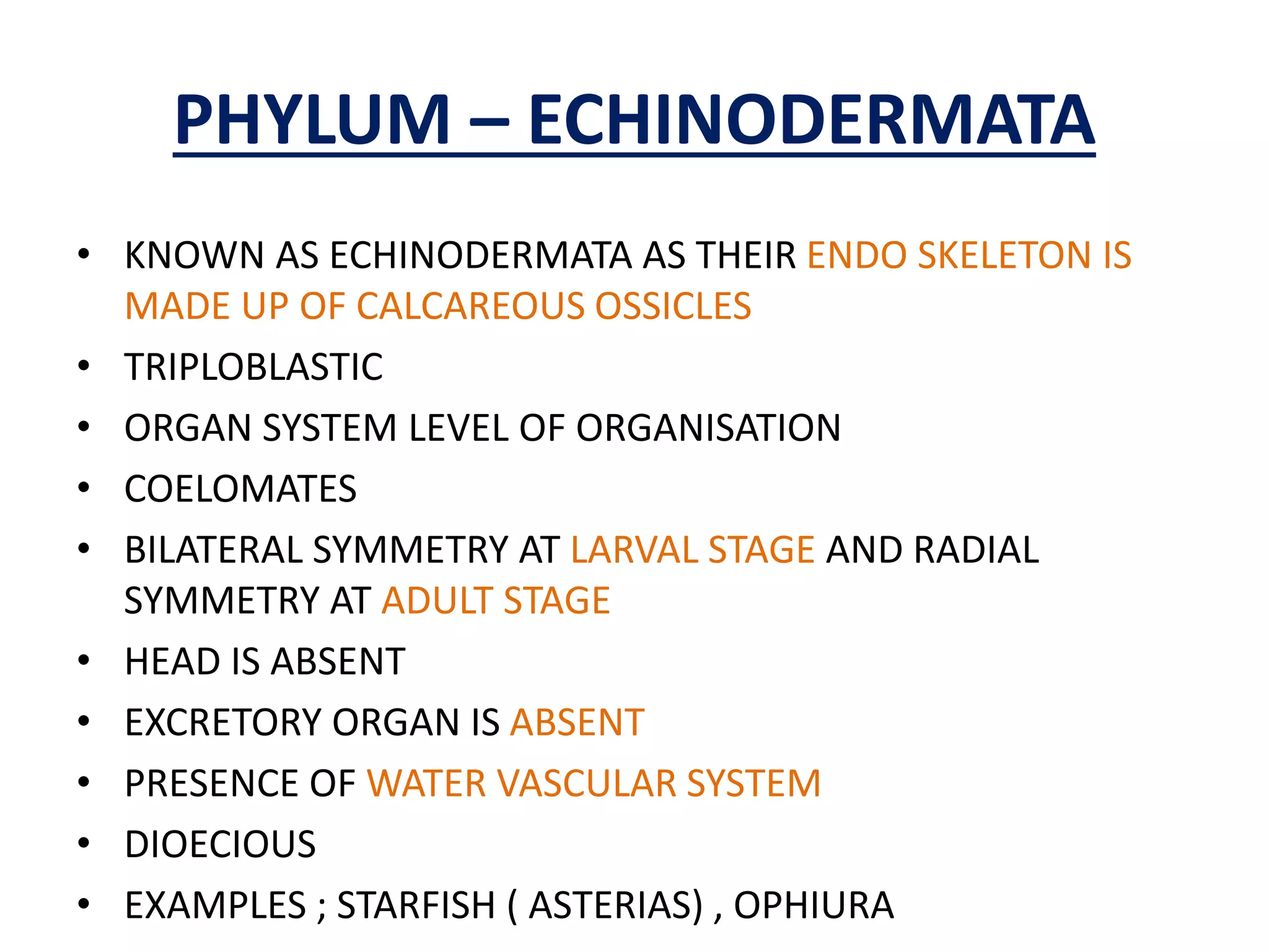 Animal kingdom class 11 | PPTX