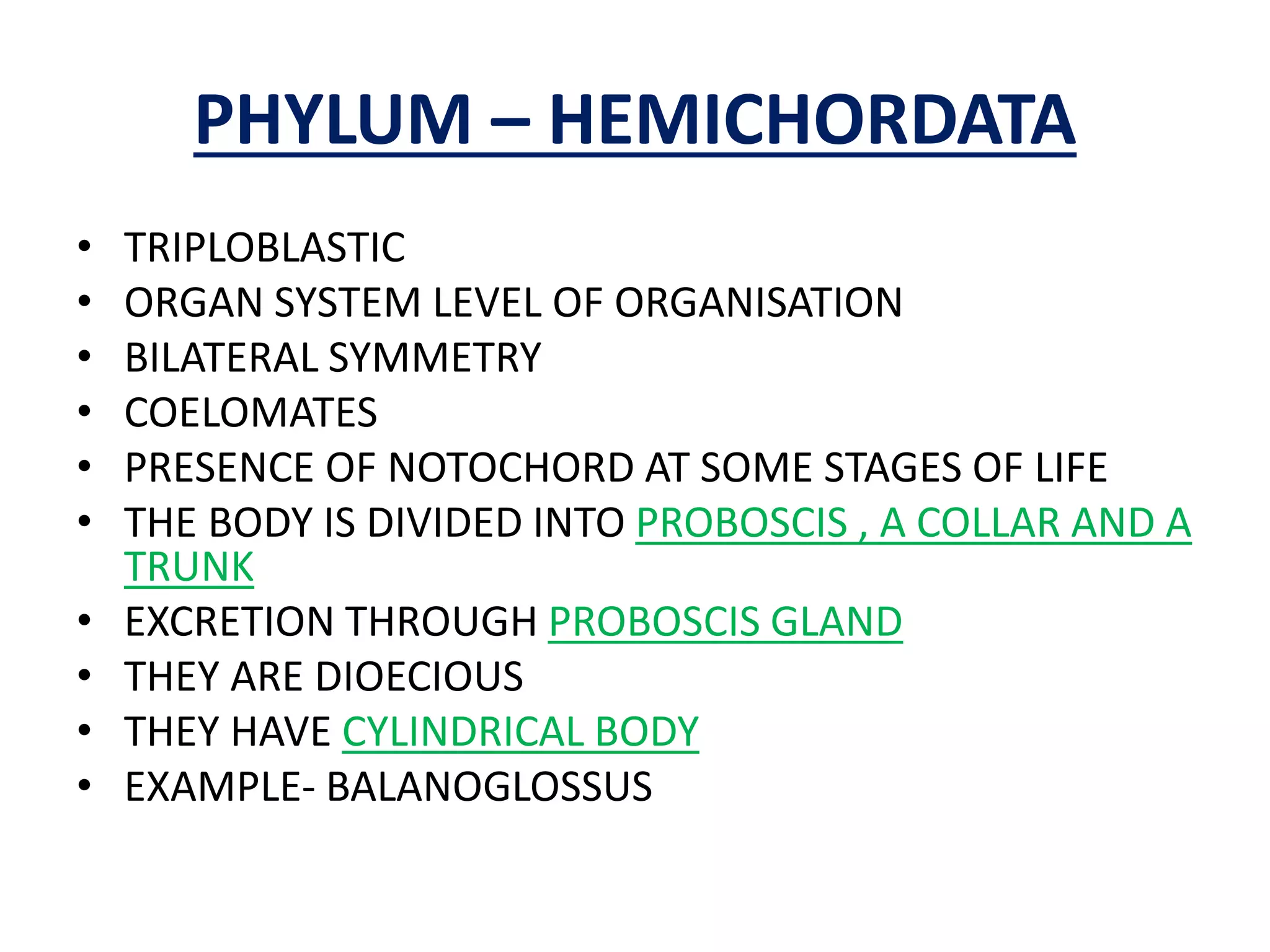 Animal kingdom class 11 | PPTX