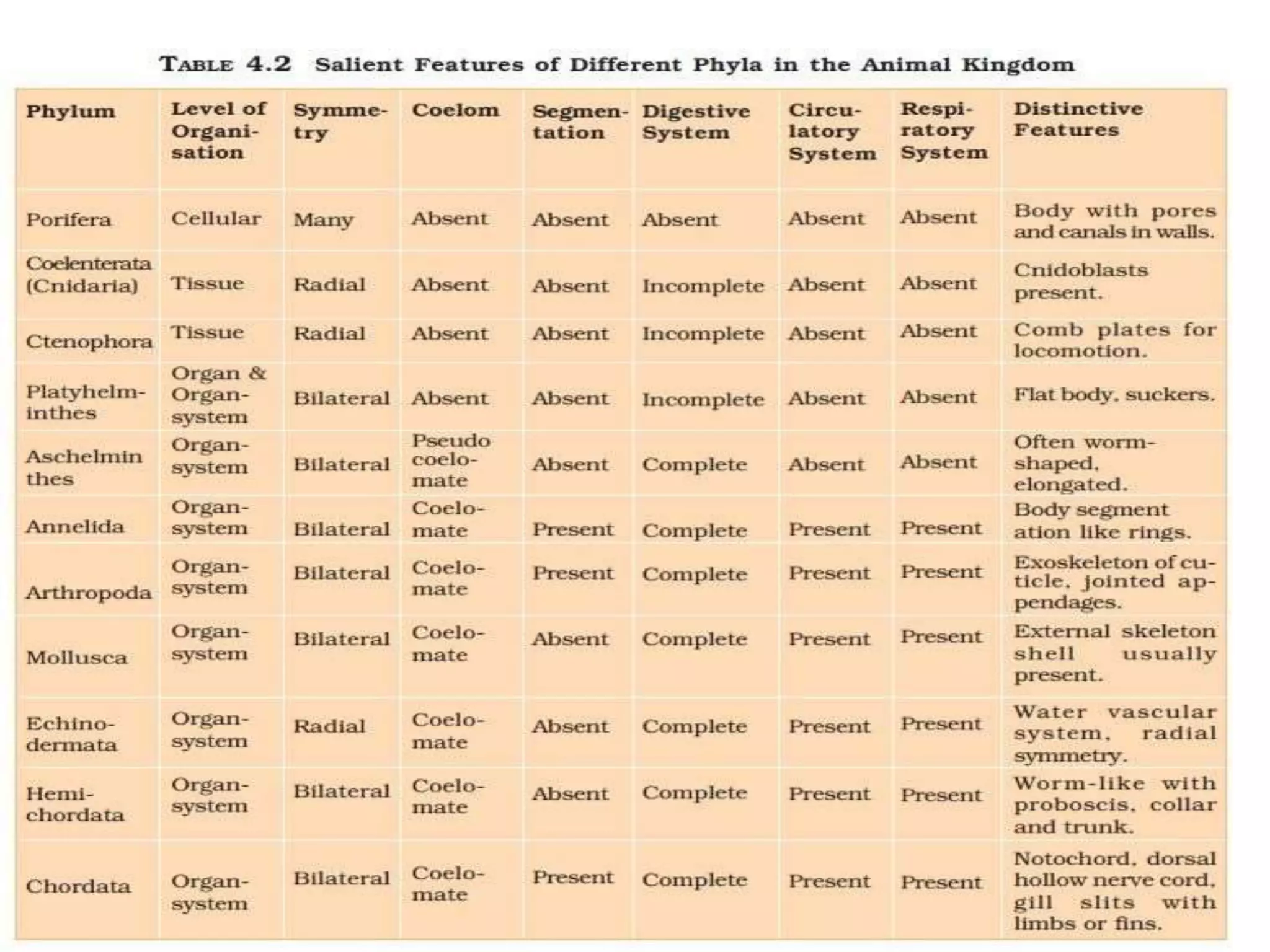 Animal kingdom class 11 | PPTX
