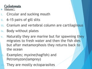 ANIMAL KINGDOM(complete ) -CLASS 11. | PPTX
