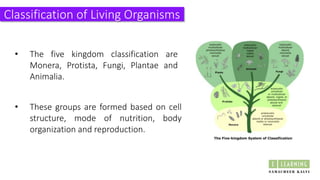 Animal Kingdom Part 1 | PPTX