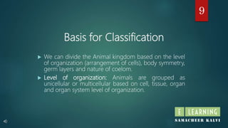 Animal Kingdom Part 2 | PPTX