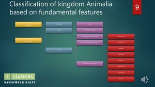 Animal Kingdom Part 2 | PPTX