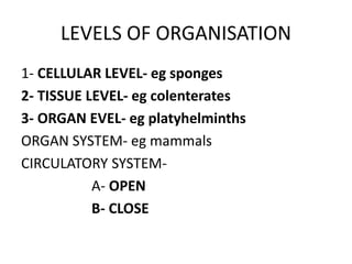 Animal Kingdom for class XI | PPTX | Biological Sciences | Science