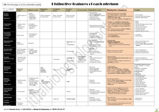 Animal_Kingdom_ 2.pdf