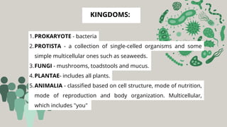 Animal Kingdom Classification.pdf
