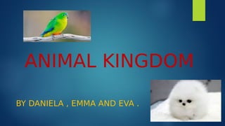 Animal kingdom daniela emma eva | PPT