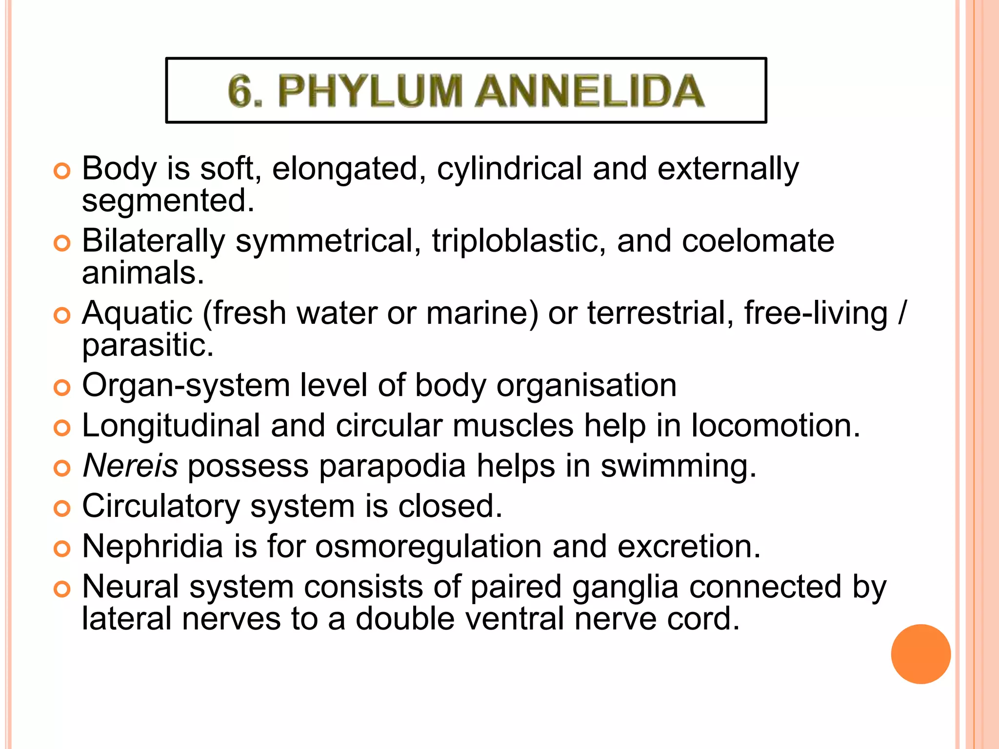 Animal Kingdom (Nonchordates) | PPTX