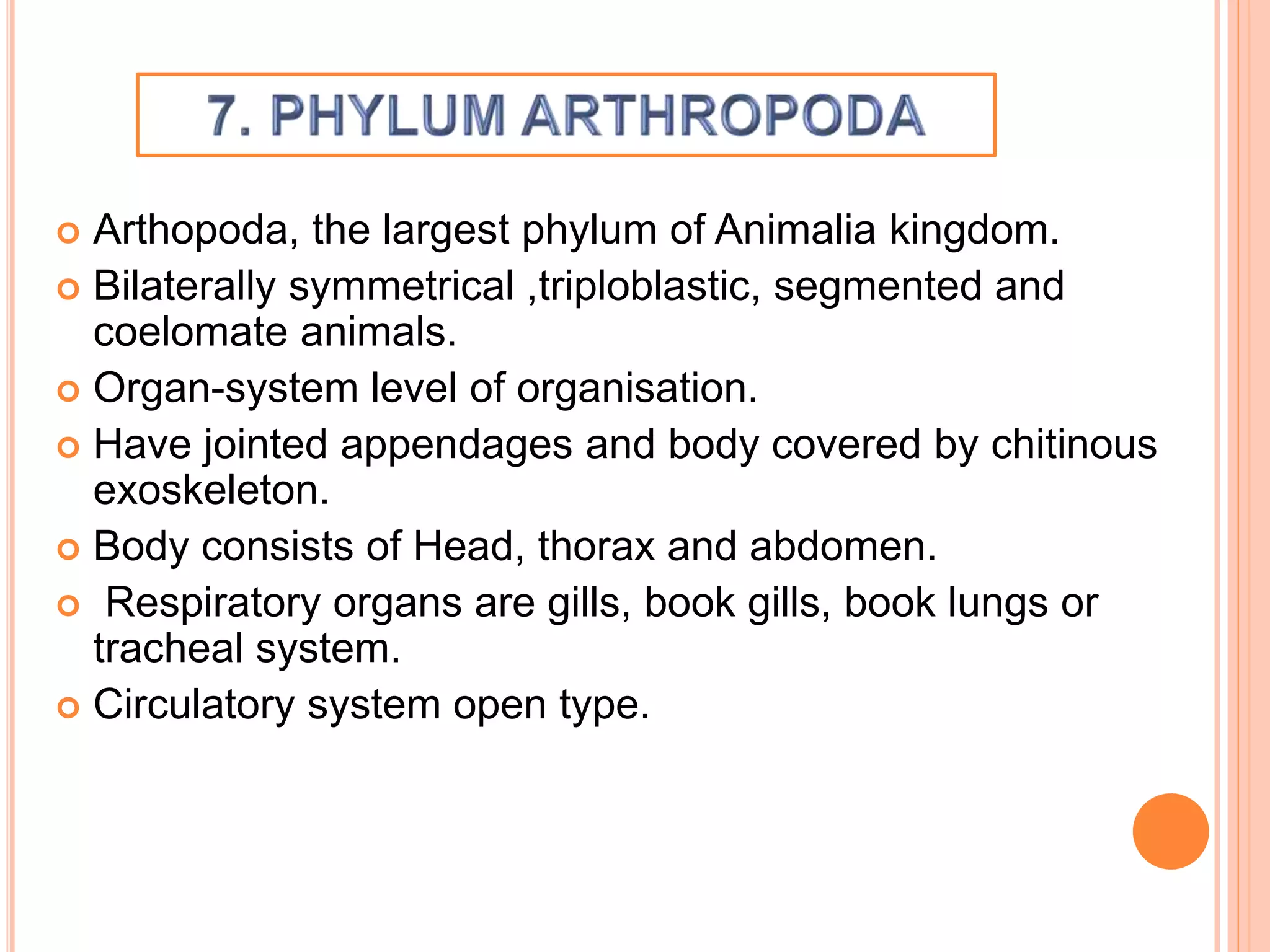 Animal Kingdom (Nonchordates) | PPTX