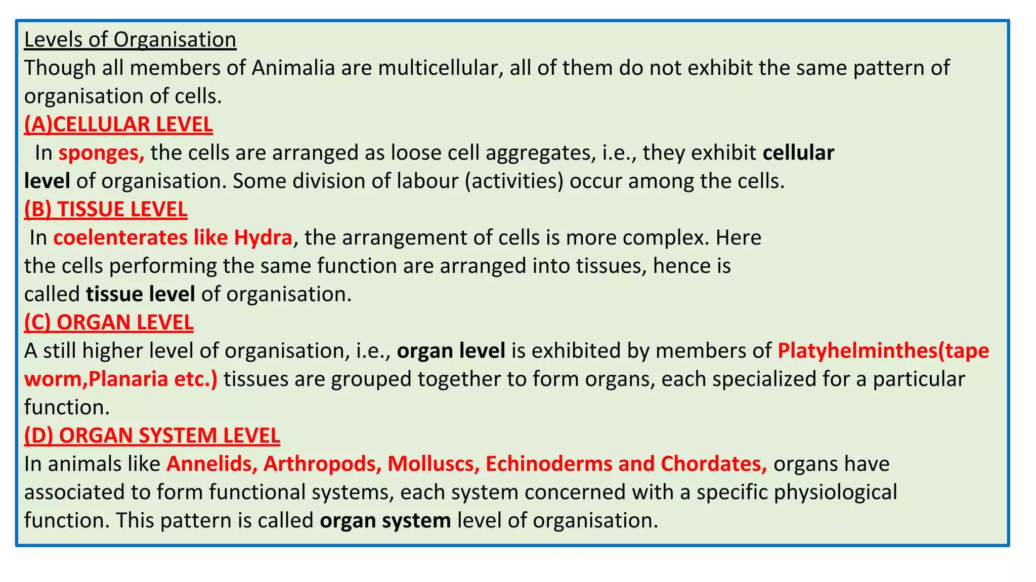 Animal kingdom introduction | PDF