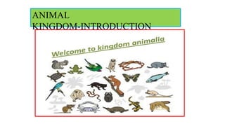 Animal kingdom introduction | PDF