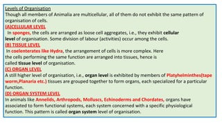 Animal kingdom introduction | PDF