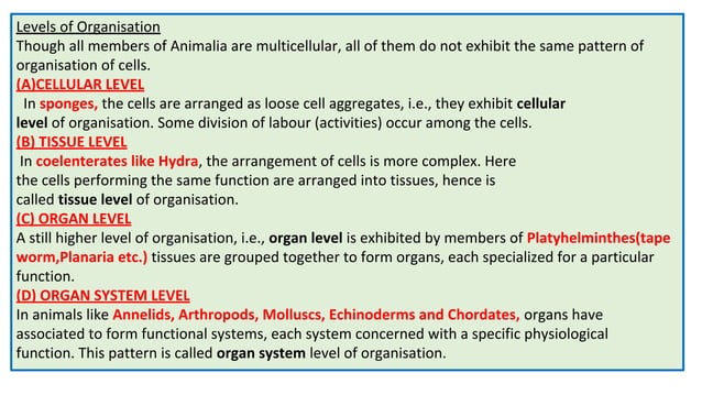 Animal kingdom introduction | PDF