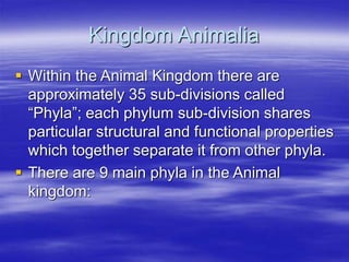 animal kingdom introduction 2015.ppt