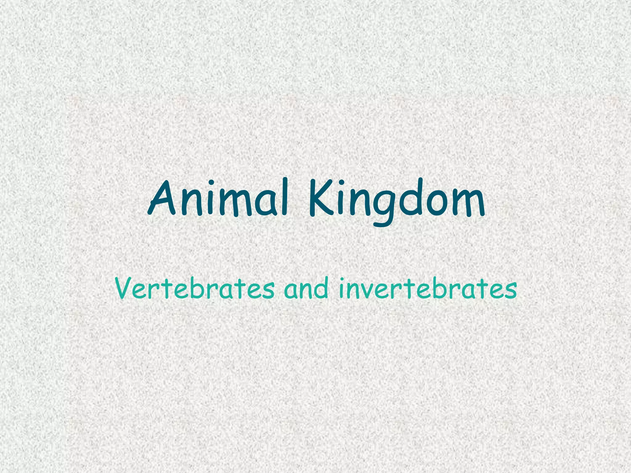 Animal kingdom: invertebrates | PPTX