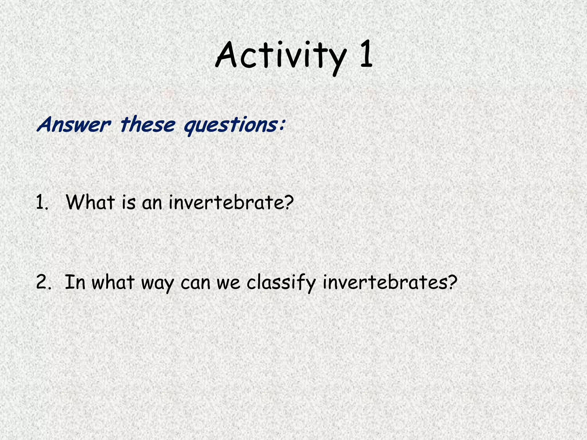 Animal kingdom: invertebrates | PPTX