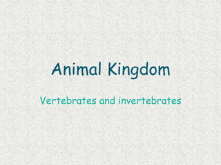Animal kingdom: invertebrates | PPTX