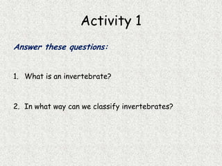 Animal kingdom: invertebrates | PPTX