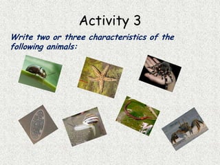 Animal kingdom: invertebrates | PPTX