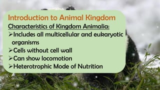 ANIMAL KINGDOM NOTES biology class xi cbse | PDF